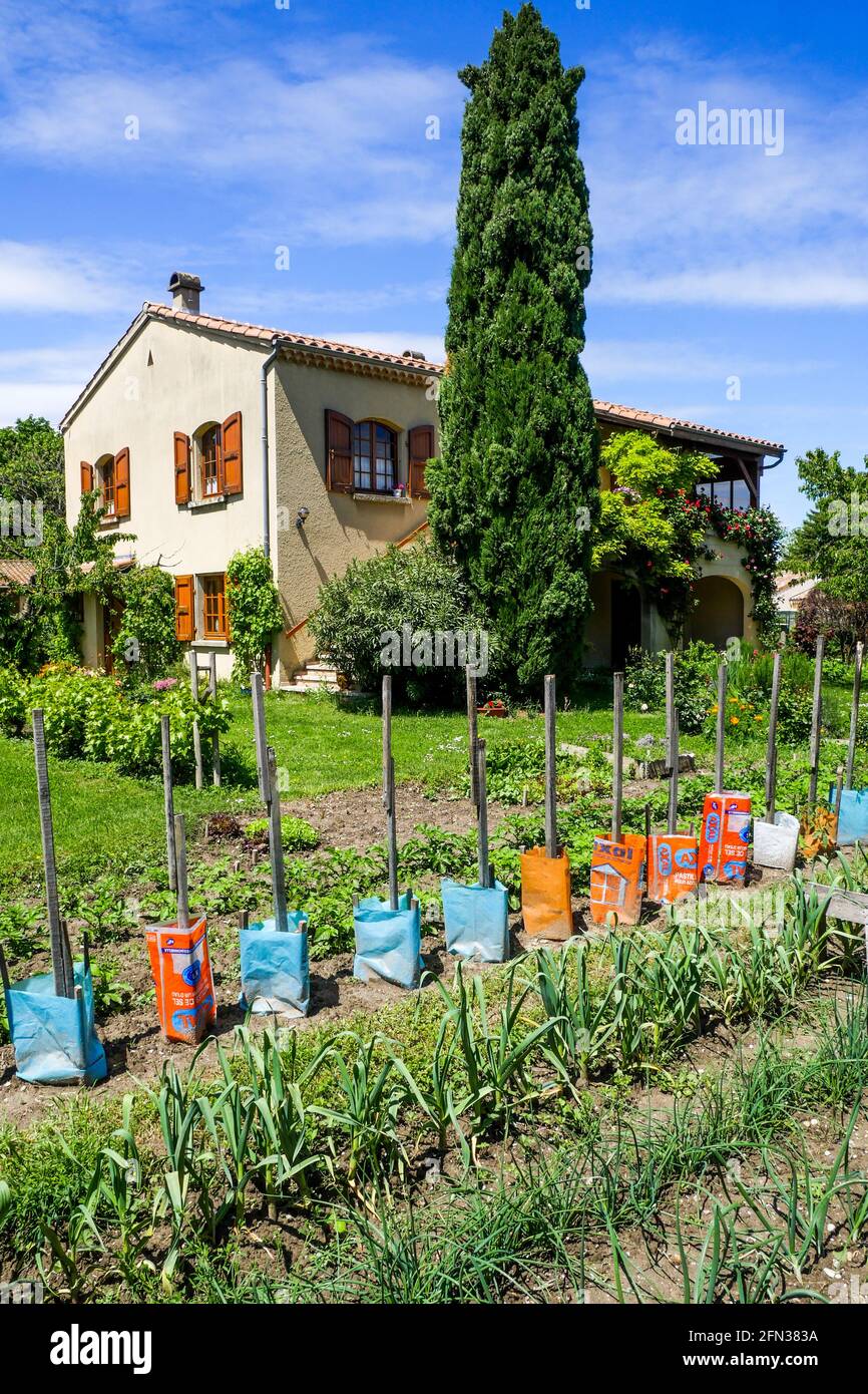 Garden in spring, Livron, Drôme, France Stock Photo - Alamy
