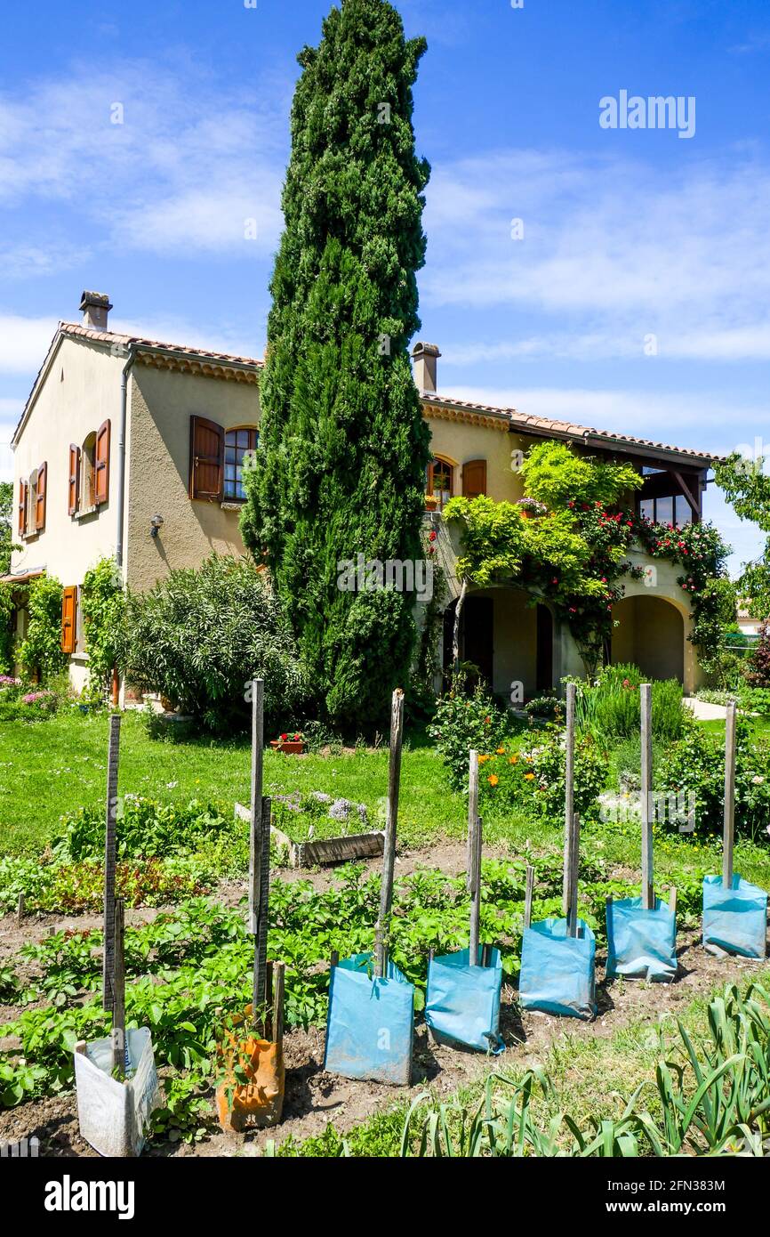 Garden in spring, Livron, Drôme, France Stock Photo - Alamy