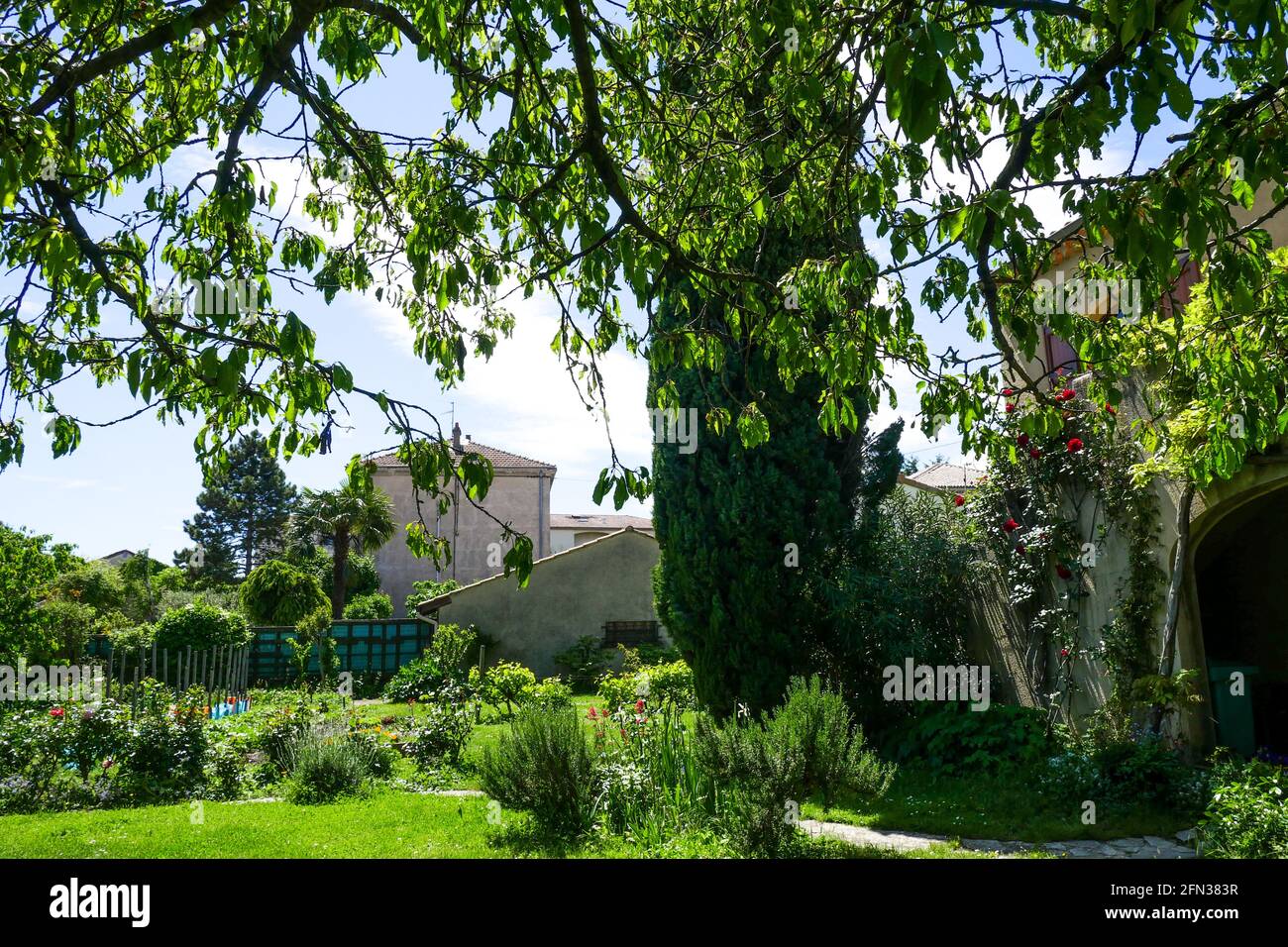 Garden in spring, Livron, Drôme, France Stock Photo - Alamy