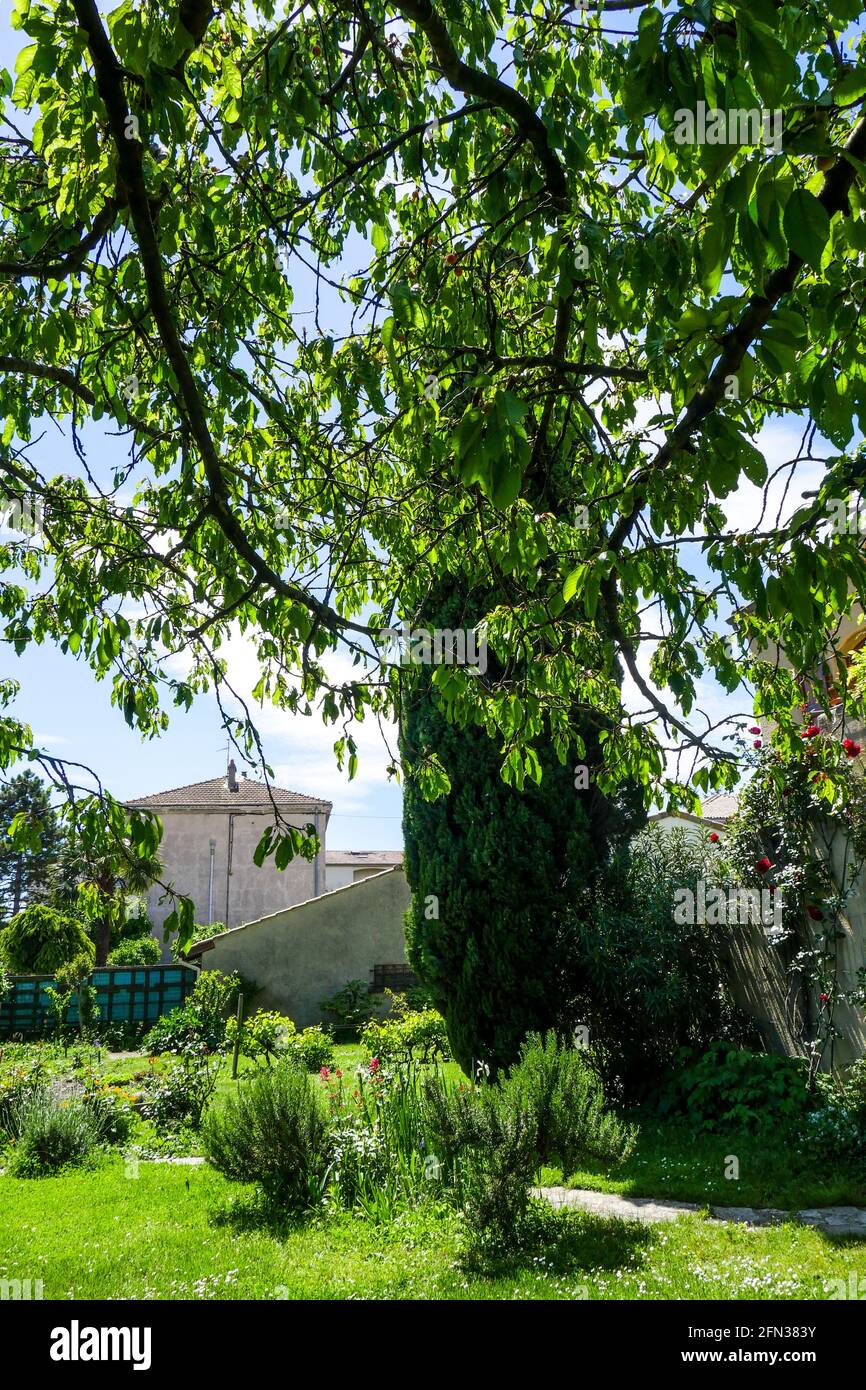 Garden in spring, Livron, Drôme, France Stock Photo - Alamy
