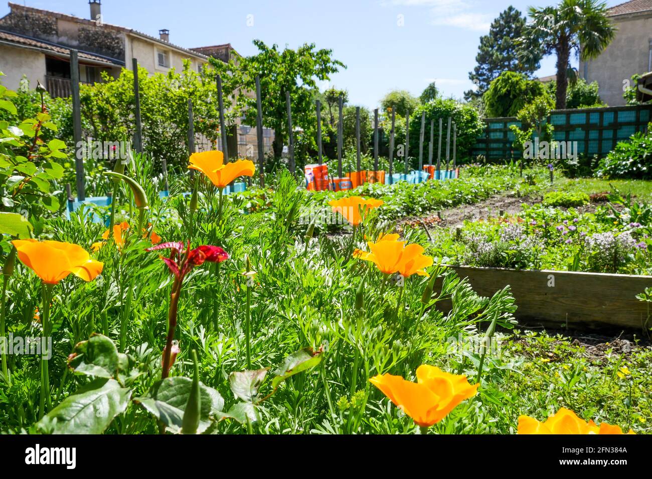 Garden in spring, Livron, Drôme, France Stock Photo - Alamy