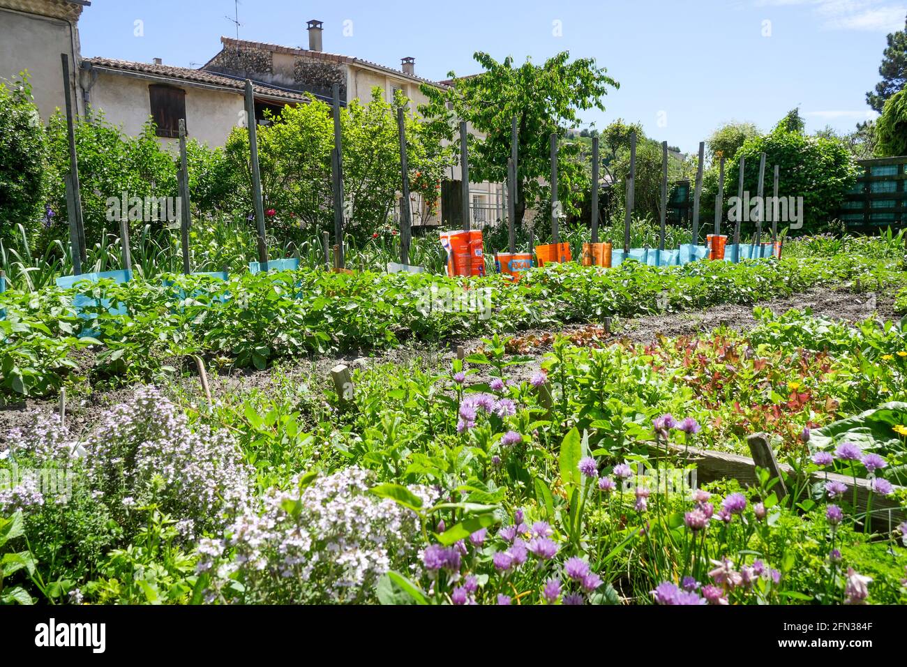 Garden in spring, Livron, Drôme, France Stock Photo - Alamy