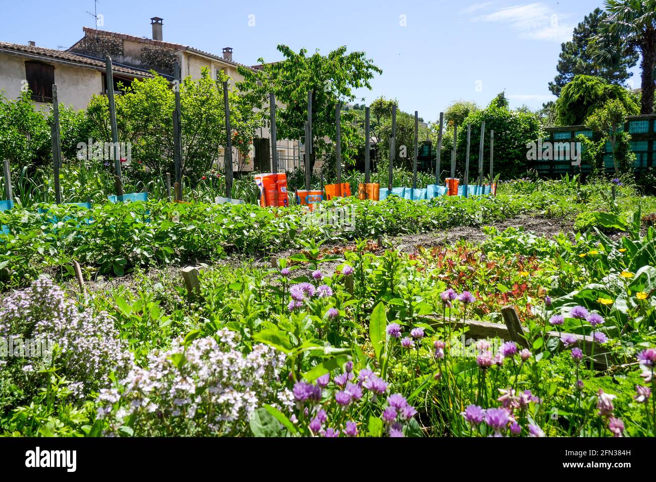 Garden in spring, Livron, Drôme, France Stock Photo - Alamy