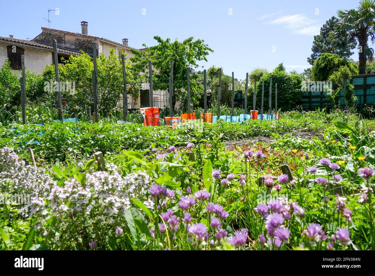 Garden in spring, Livron, Drôme, France Stock Photo - Alamy