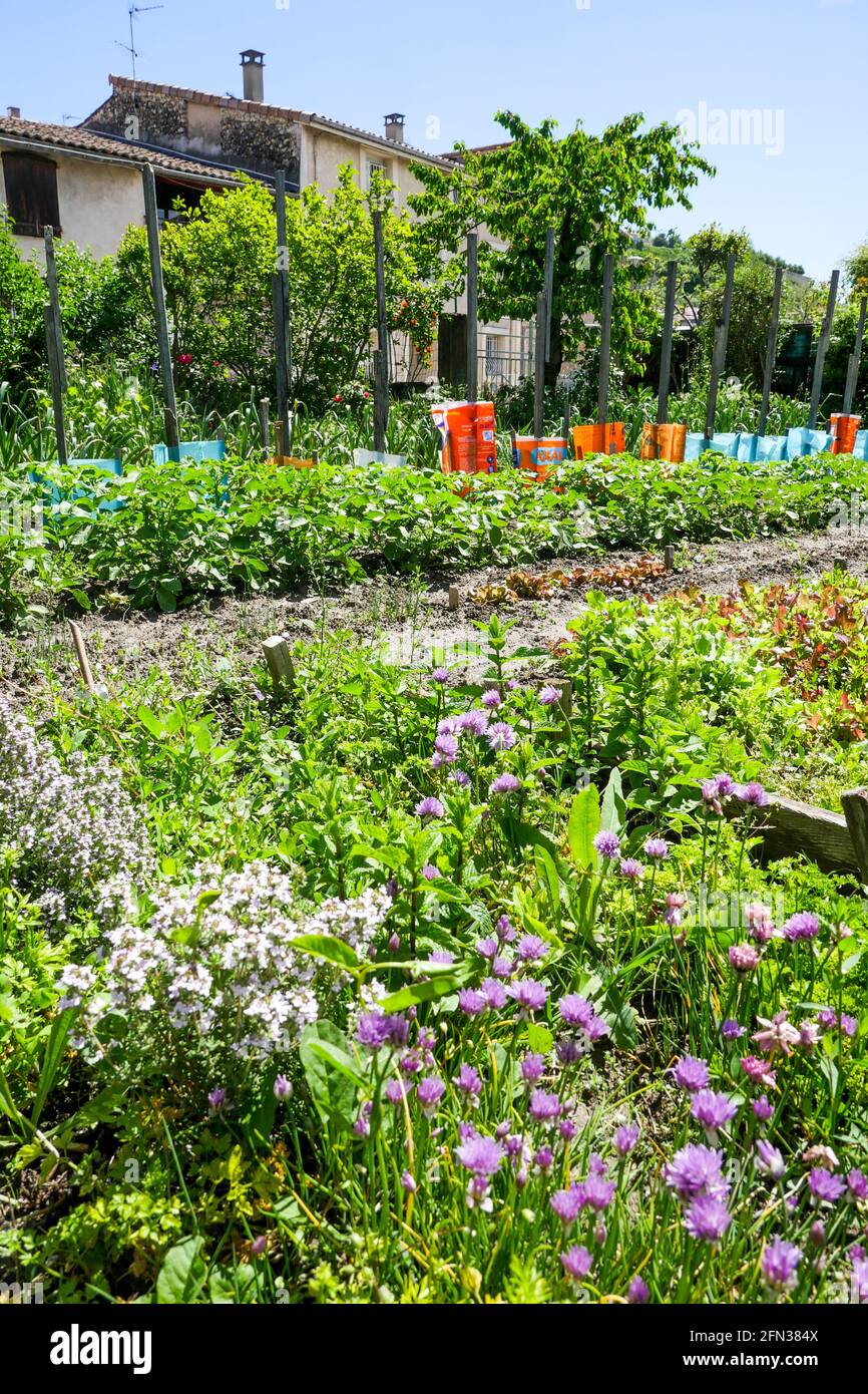 Garden in spring, Livron, Drôme, France Stock Photo - Alamy