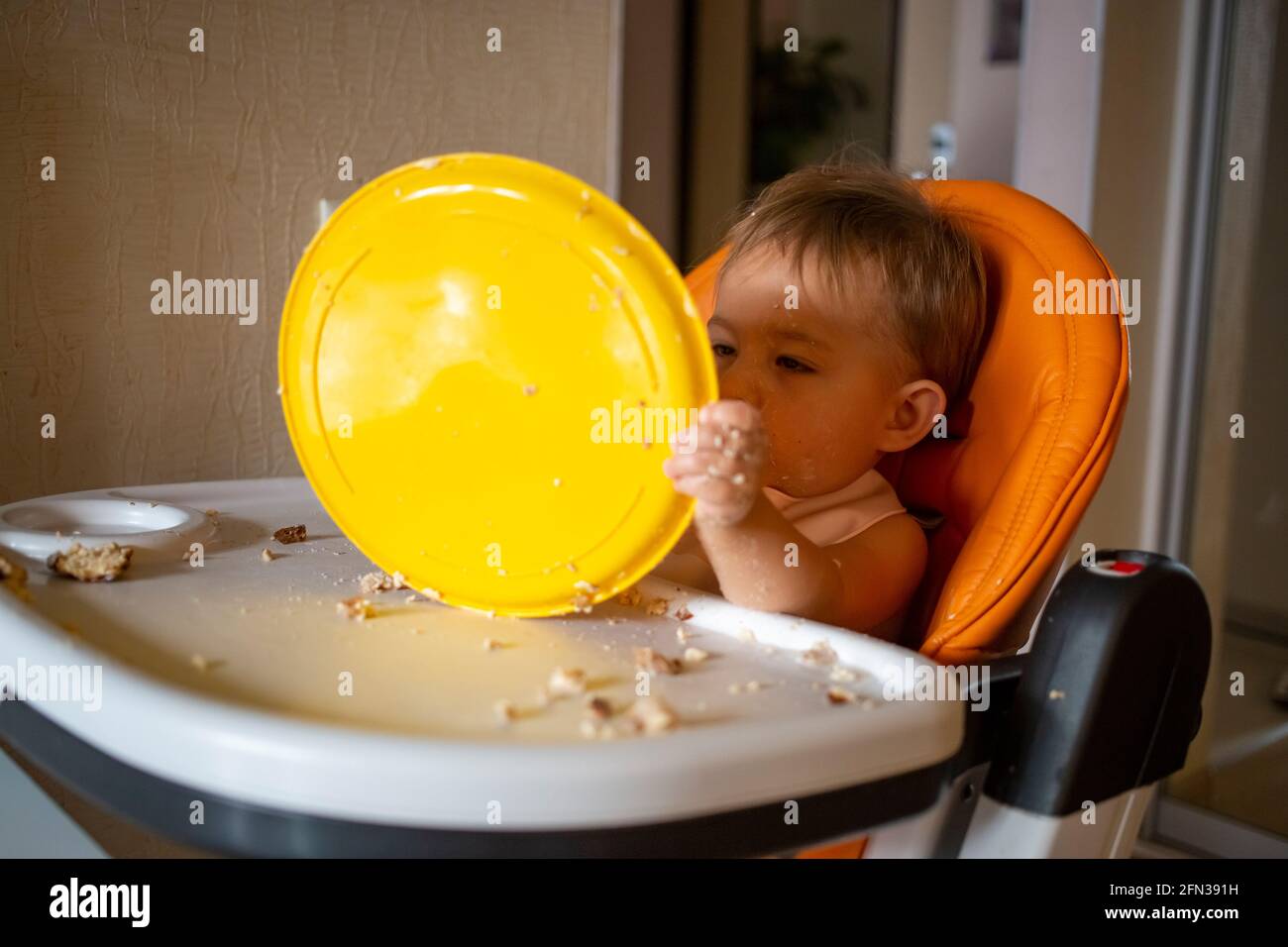 adorable baby plays with plate at the table. little child indulges in a ...