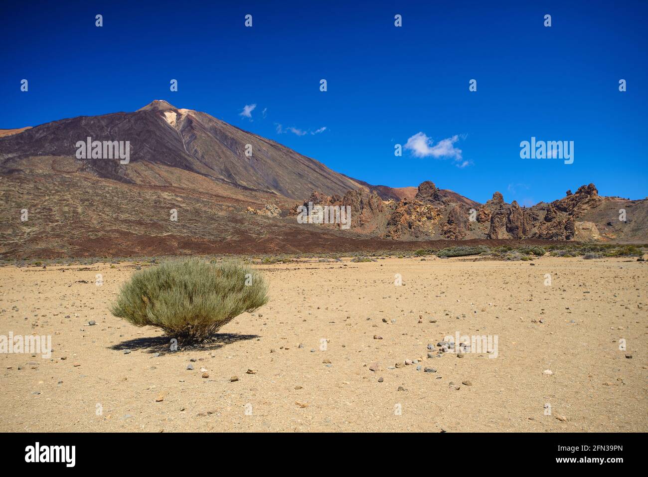Desert are with sand and brush, volcano Teide and blue sky in ...