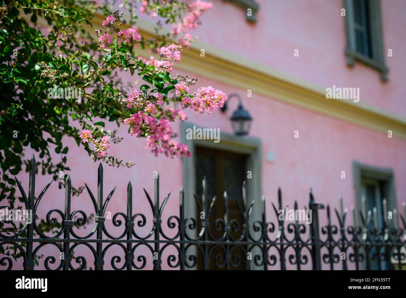 Colorful scene pink flowers hi-res stock photography and images - Alamy