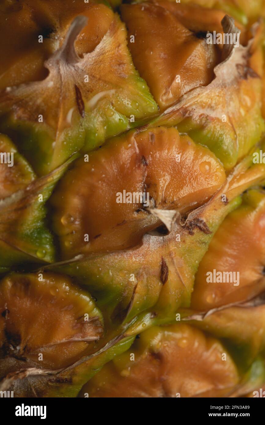 Macro close up portrait of a Pineapple with black background Stock ...