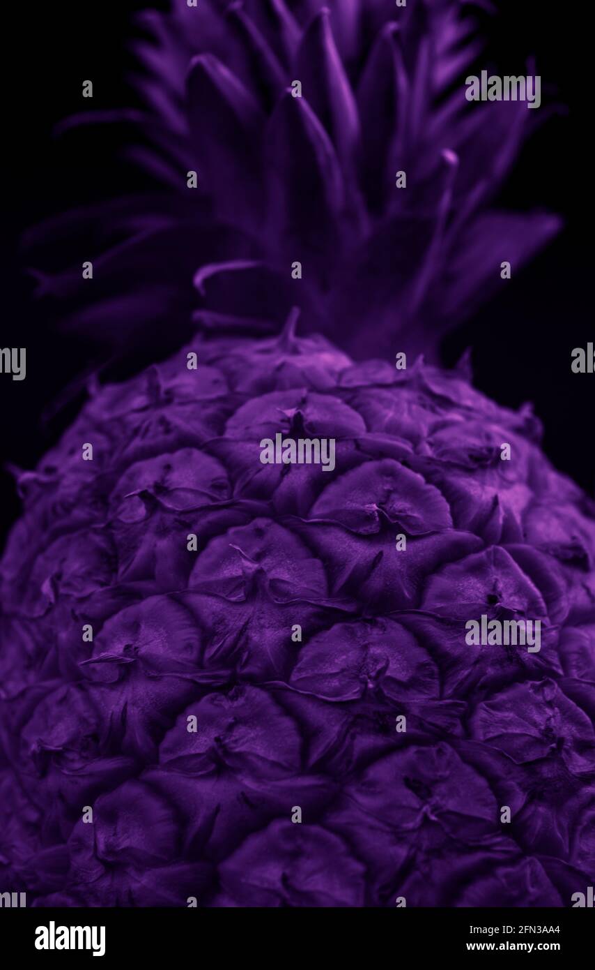 Digital Painted Purple Pineapple with black background design Stock ...