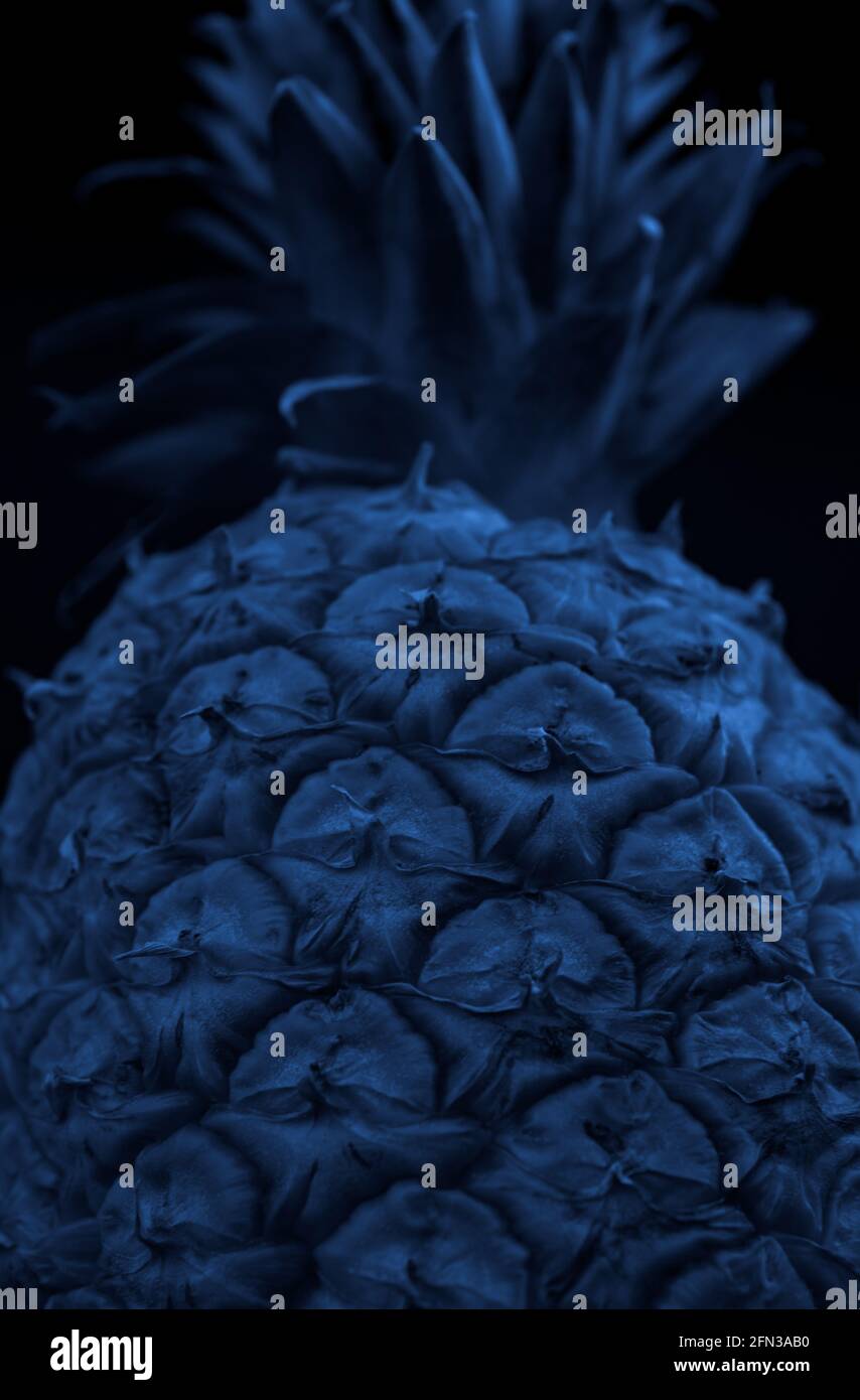 Digital Painted Blue Pineapple with black background design Stock Photo ...
