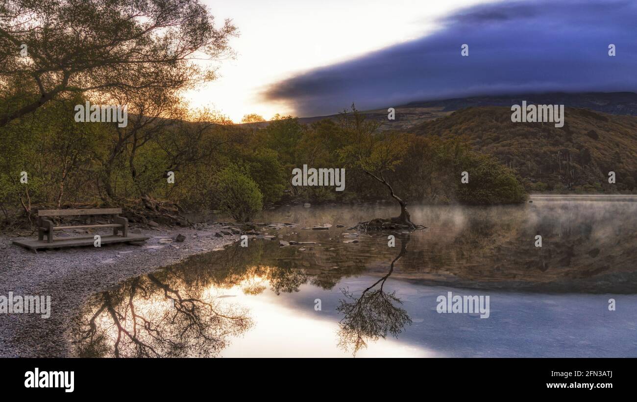 Lone tree llanberis hi-res stock photography and images - Alamy
