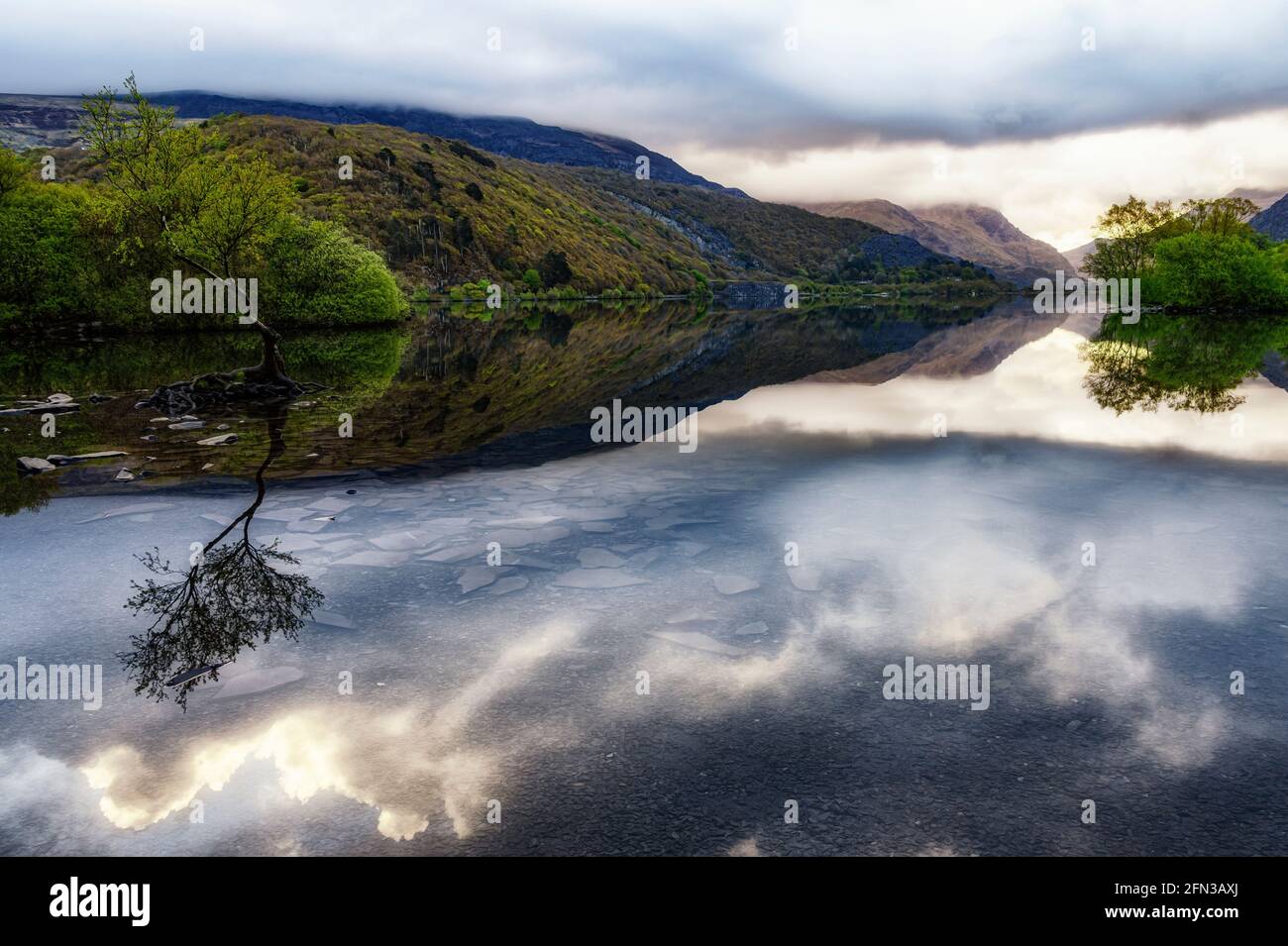 The Lone Tree Llanberis North Wales Stock Photo - Alamy