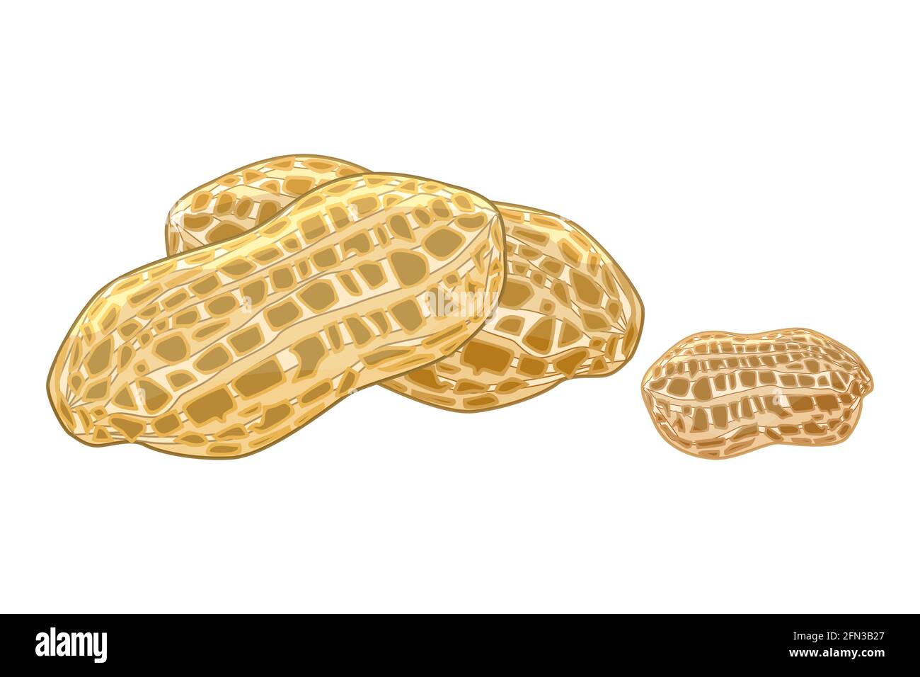 white background, isolated, illustration, vector, flat, cartoon, peanut ...