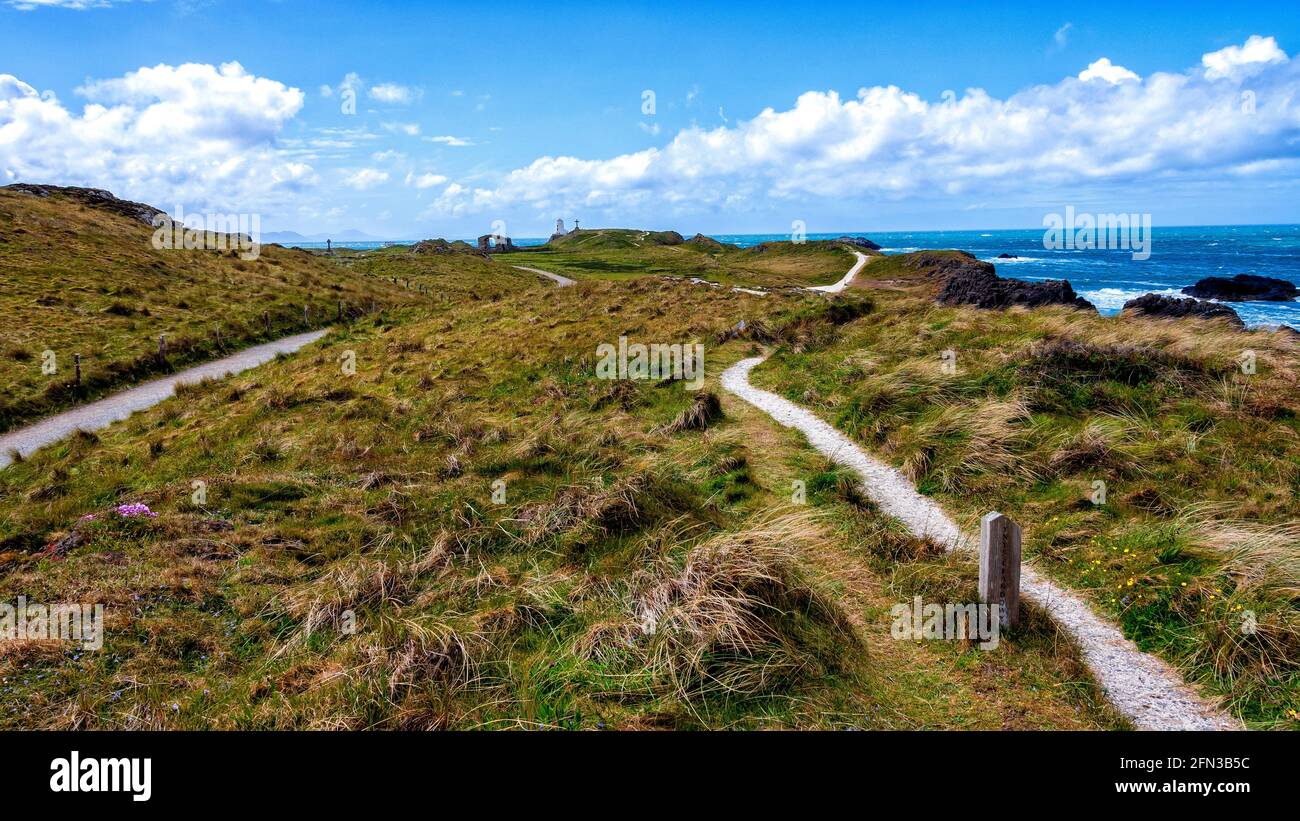 Ynys llanddwyn is a small tidal island off the west hi-res stock ...