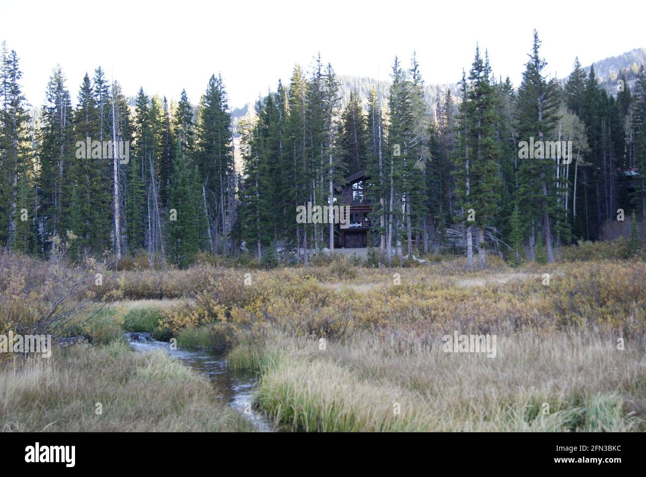 View with a cabin Stock Photo - Alamy