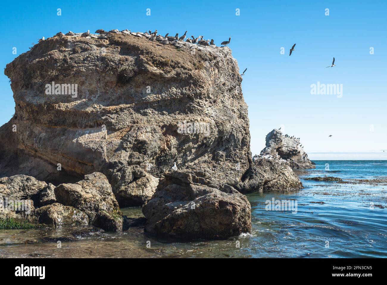 Pismo Beach cliffs and flock of birds, California Coastline Stock Photo ...
