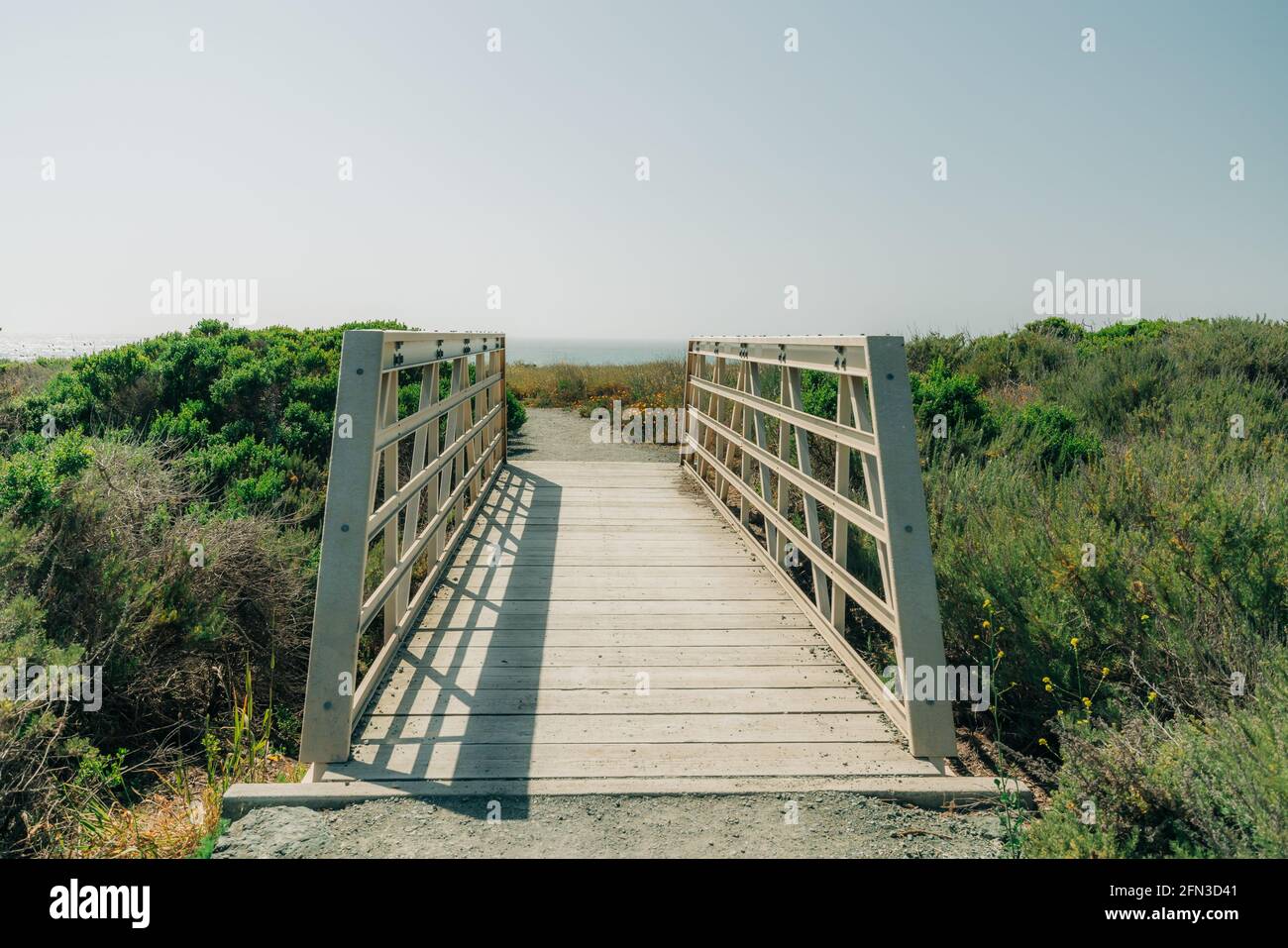 Rural scenic landscape. Wooden boardwalk leading to the beach Stock ...