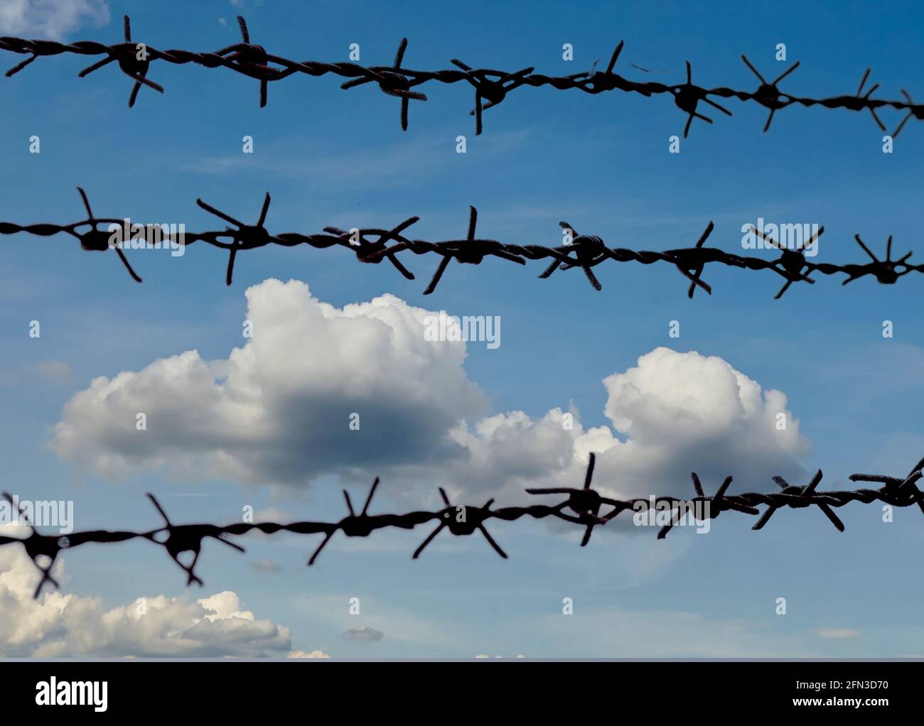 Shot of barb wires with sky on the background Stock Photo - Alamy