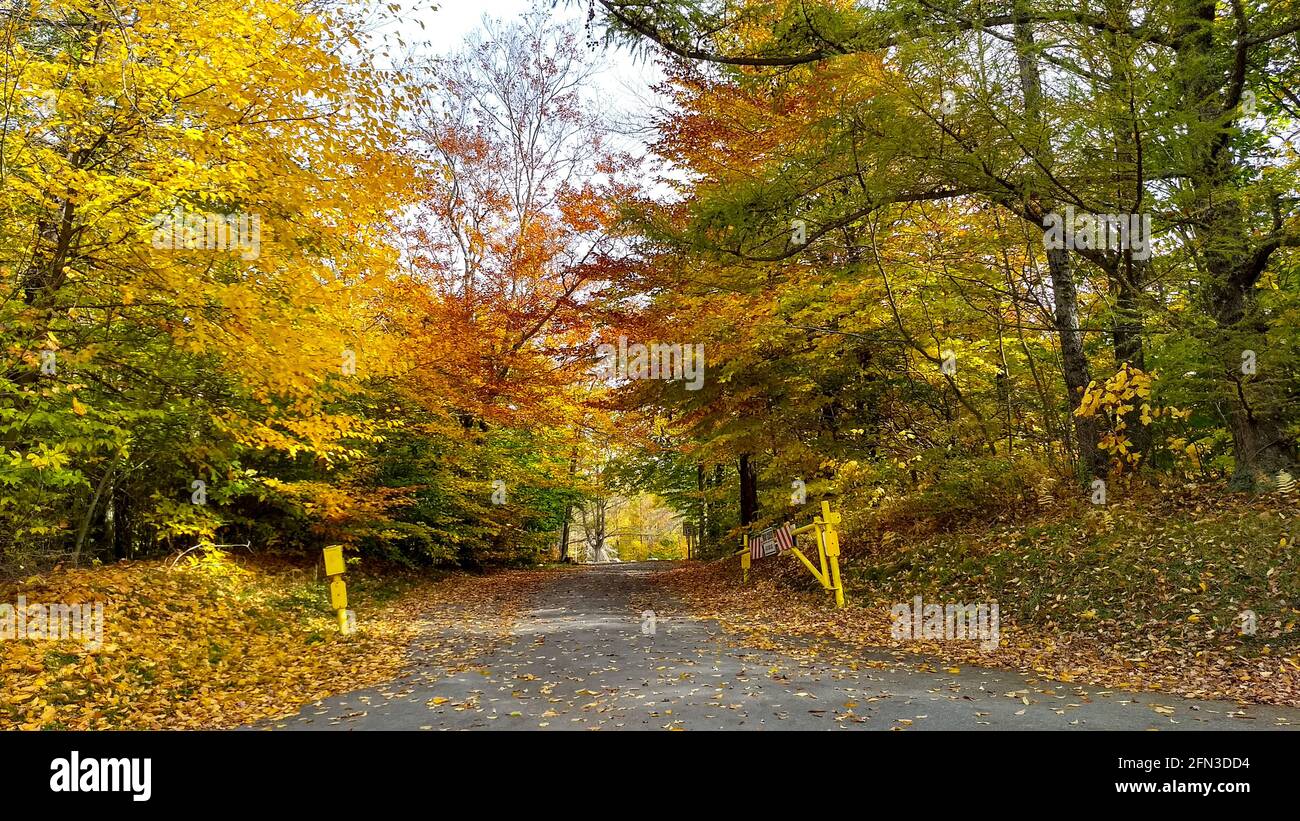 Drive through the fall leaves in Pennsylvania Stock Photo - Alamy