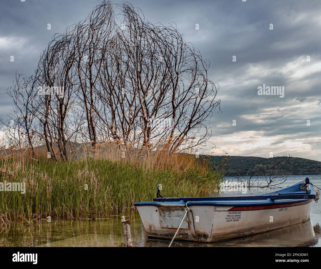 This is a boat stands in a lake and a beautiful tree Stock Photo - Alamy