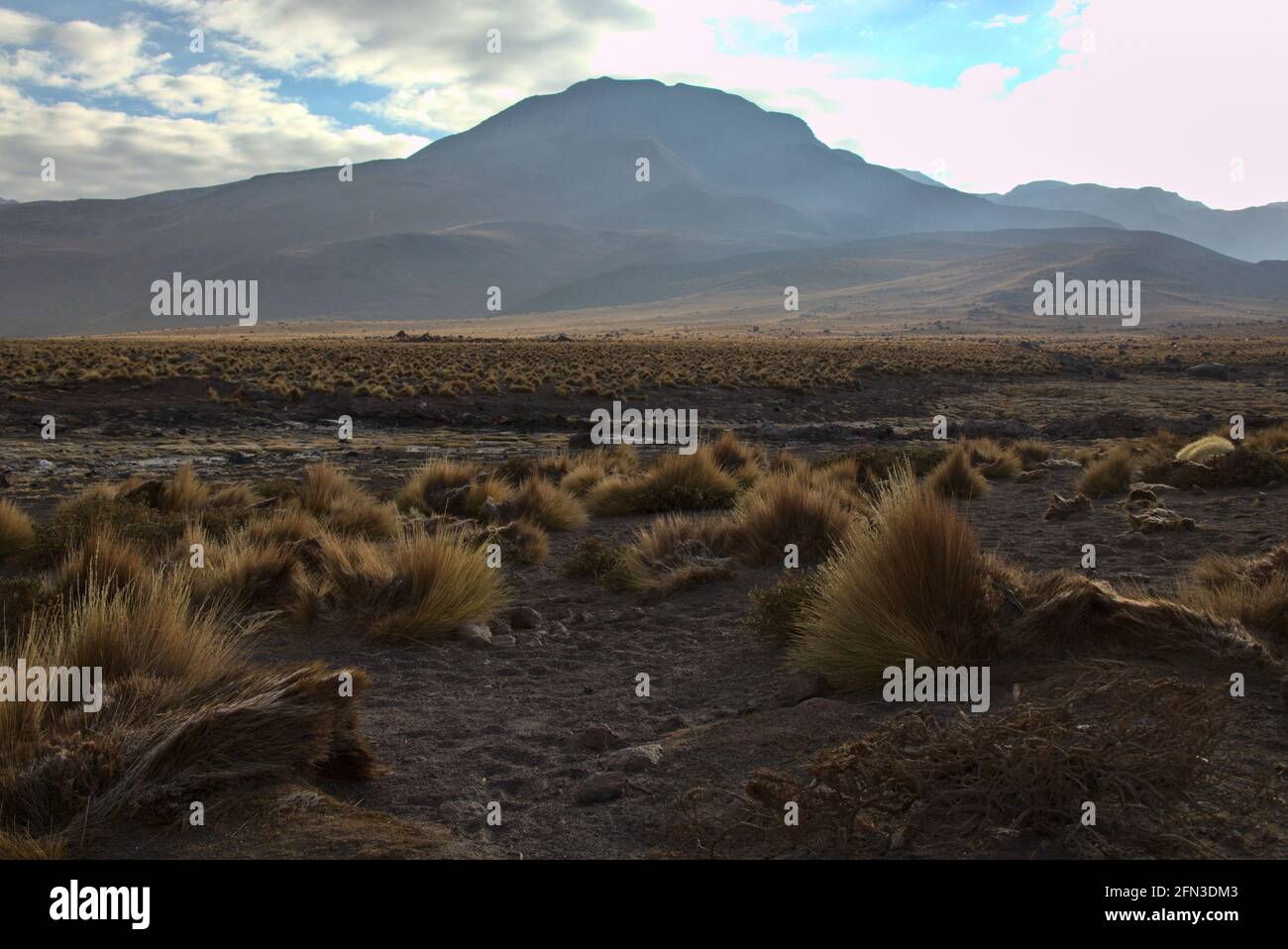 Landscape of cilean desert - Cile Stock Photo - Alamy