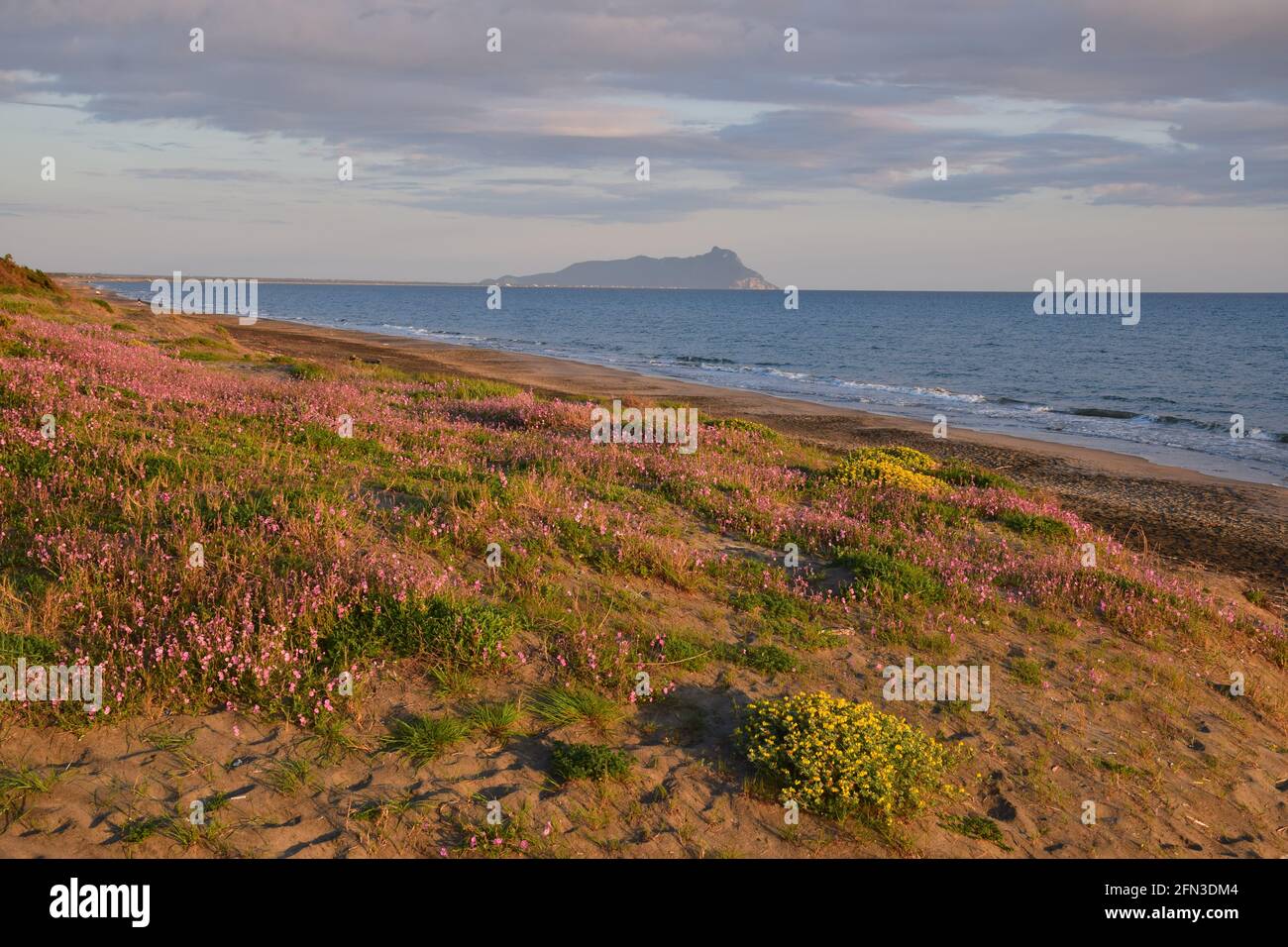 Circeo national park hi-res stock photography and images - Alamy