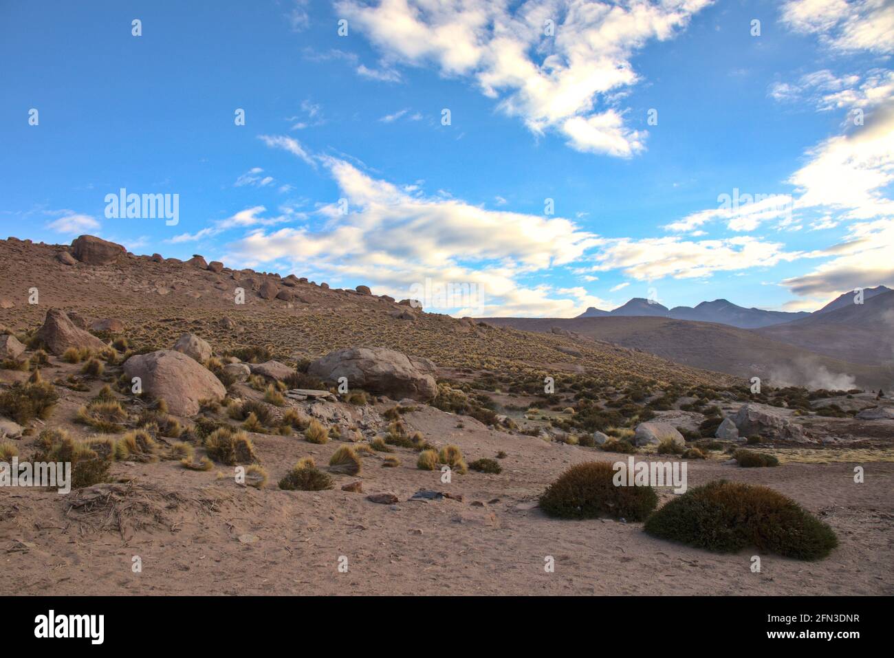 Cilean hi-res stock photography and images - Alamy