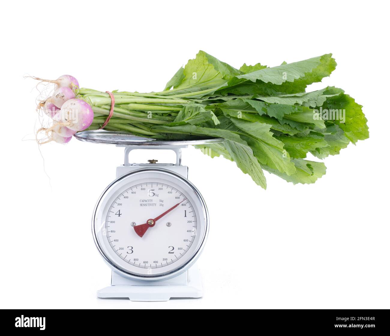 Bunch of turnips with tops on a scale on a white background Stock Photo ...