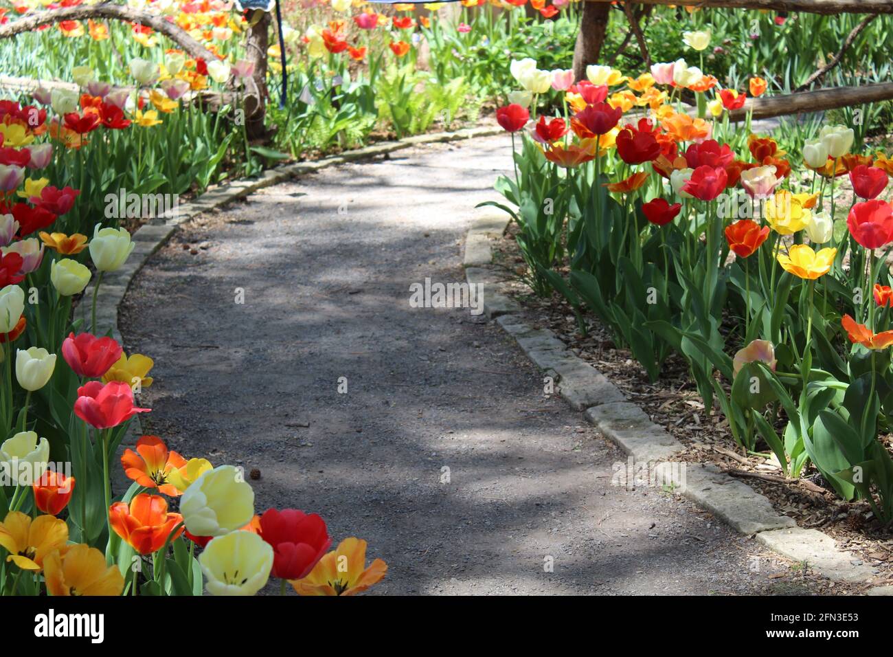 Lovely sunny yellow flowers hi-res stock photography and images - Alamy