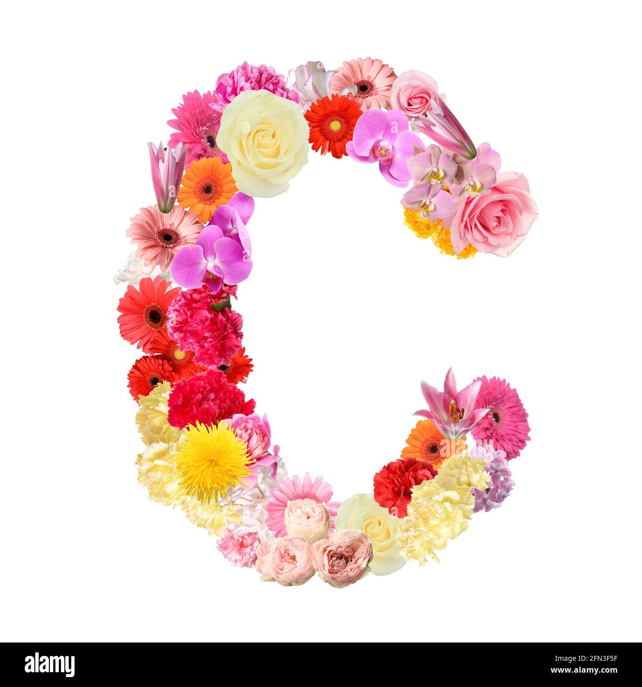 Letter C made of beautiful flowers on white background Stock Photo - Alamy