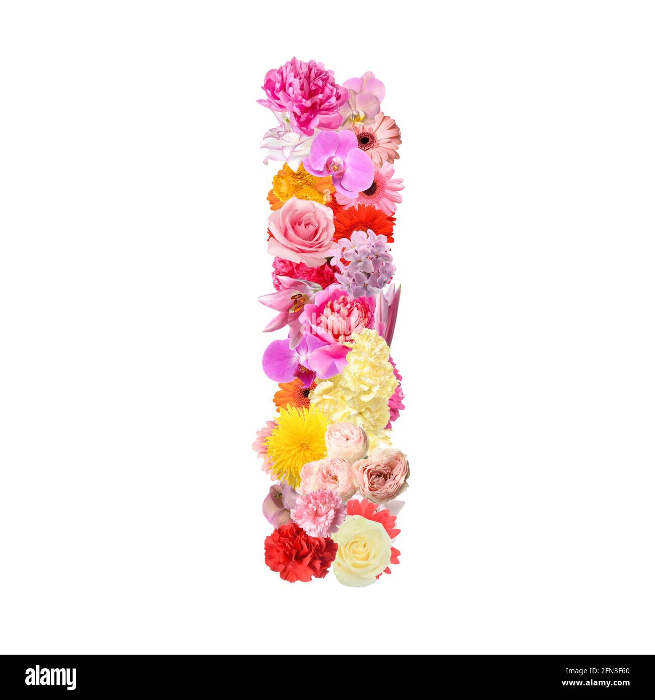 Letter I made of beautiful flowers on white background Stock Photo - Alamy
