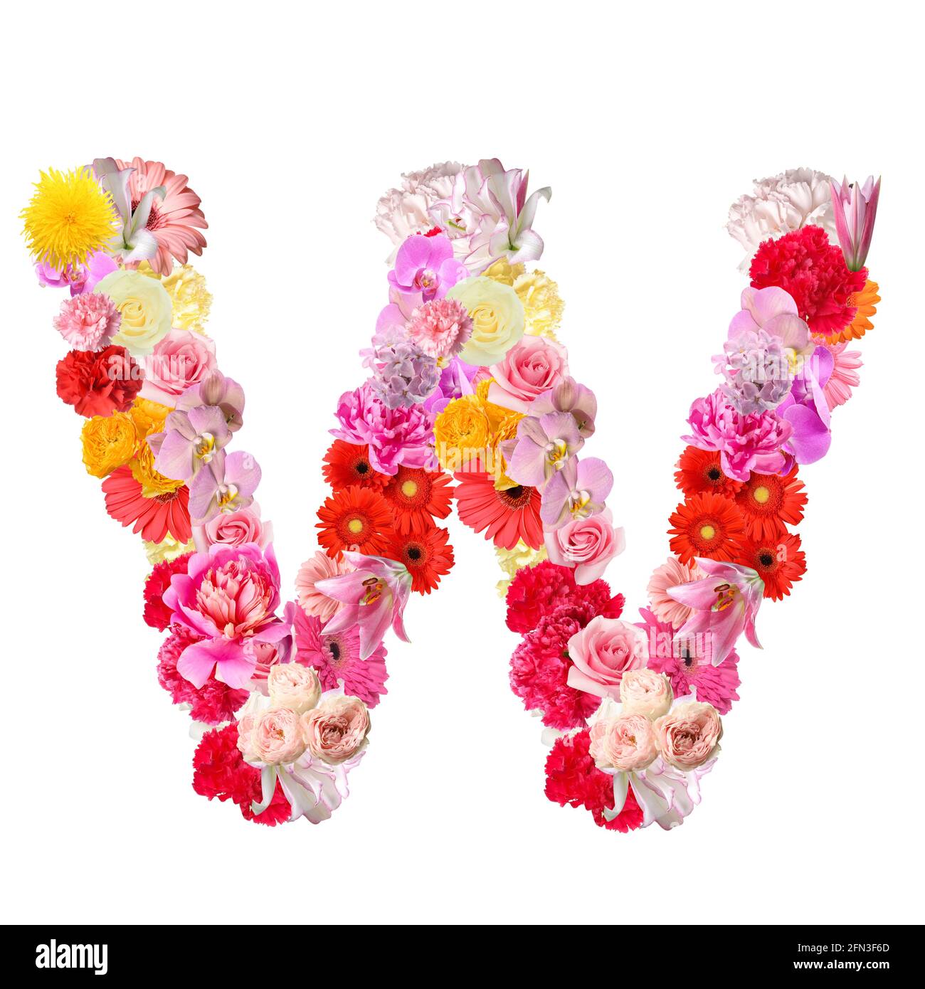 Letter W made of beautiful flowers on white background Stock Photo - Alamy