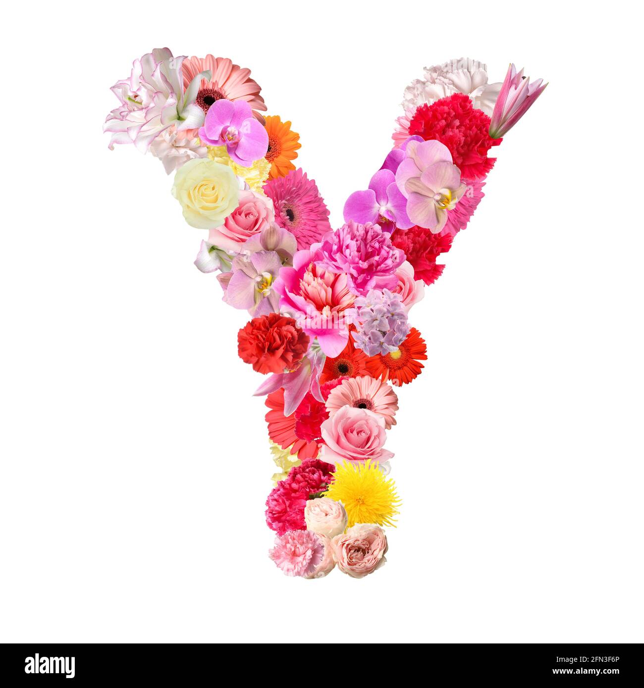 Letter Y made of beautiful flowers on white background Stock Photo - Alamy