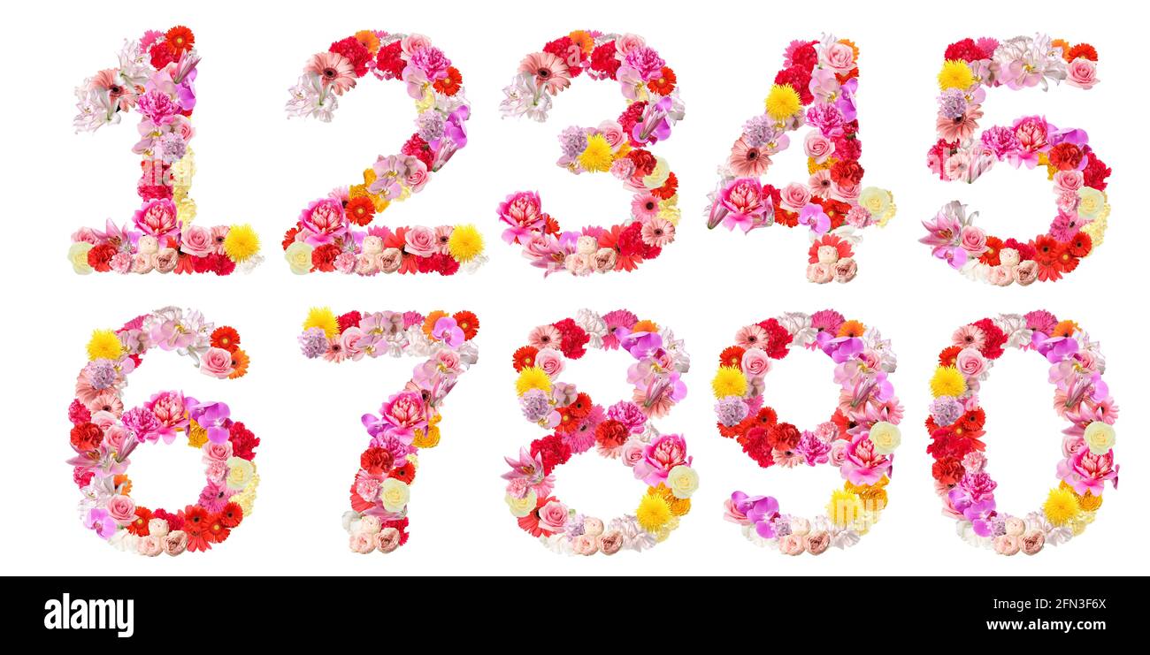 Numbers made of beautiful flowers on white background Stock Photo - Alamy