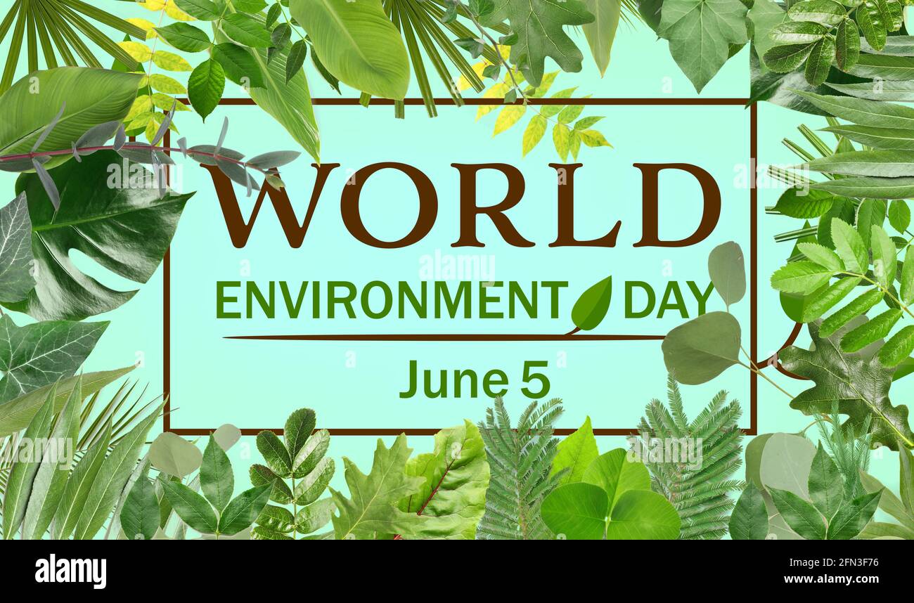 Greeting card for World Environment Day Stock Photo - Alamy