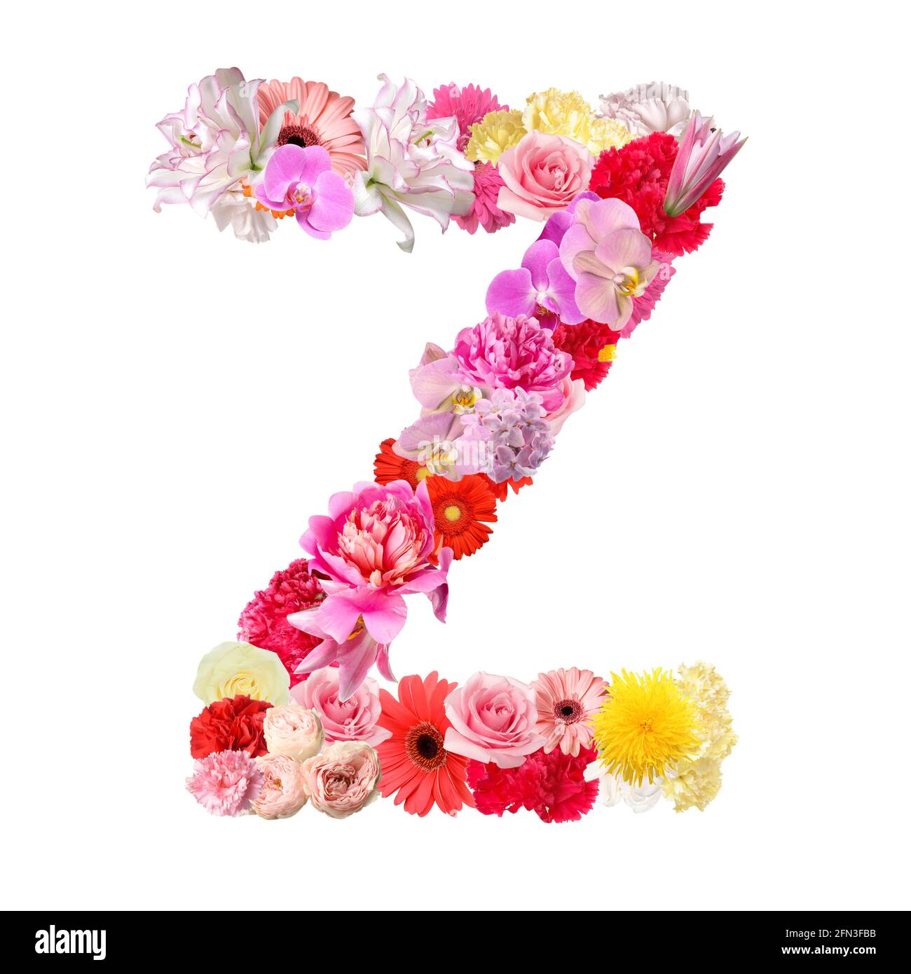 Letter Z made of beautiful flowers on white background Stock Photo - Alamy