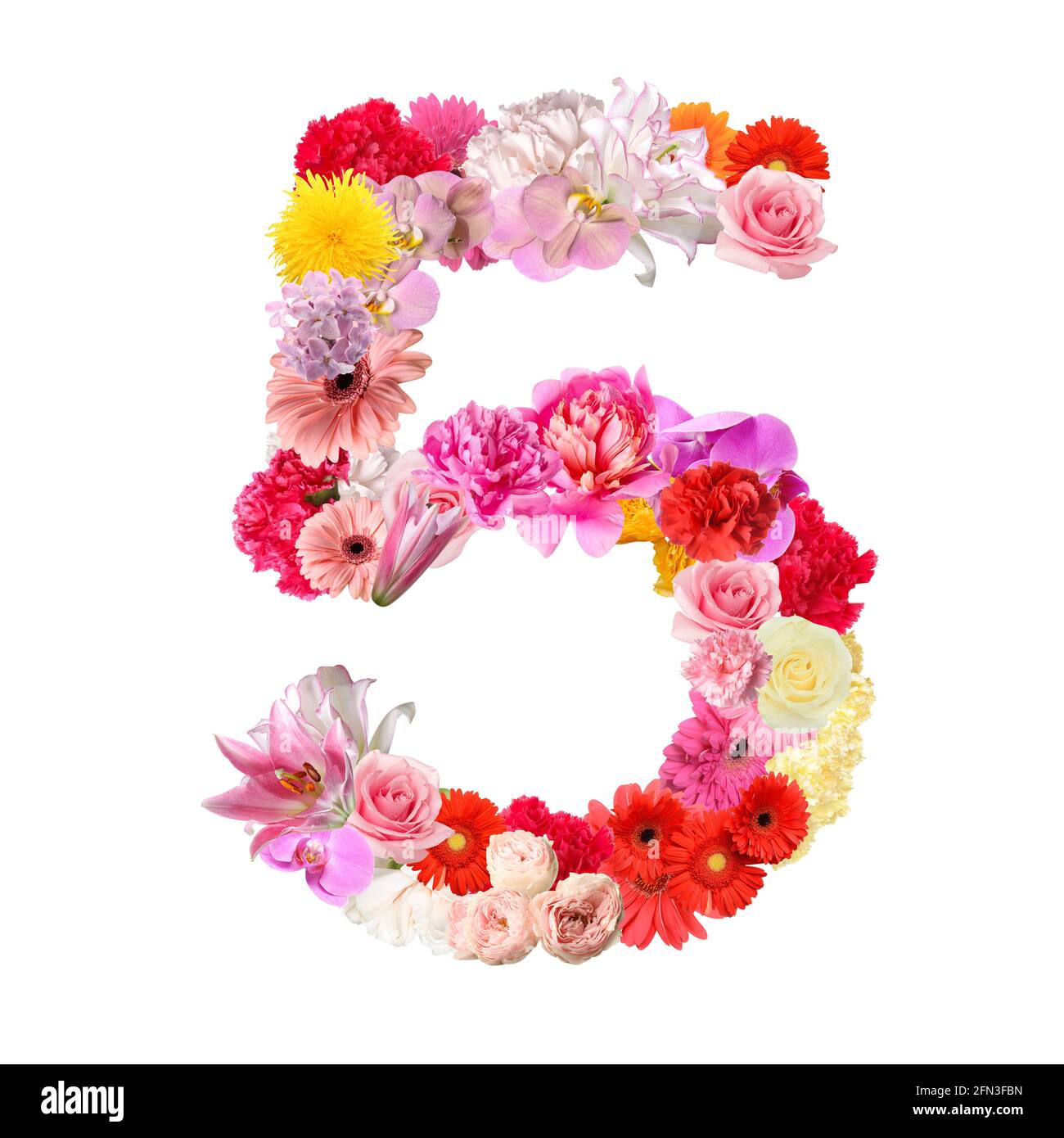 Figure 5 made of beautiful flowers on white background Stock Photo - Alamy