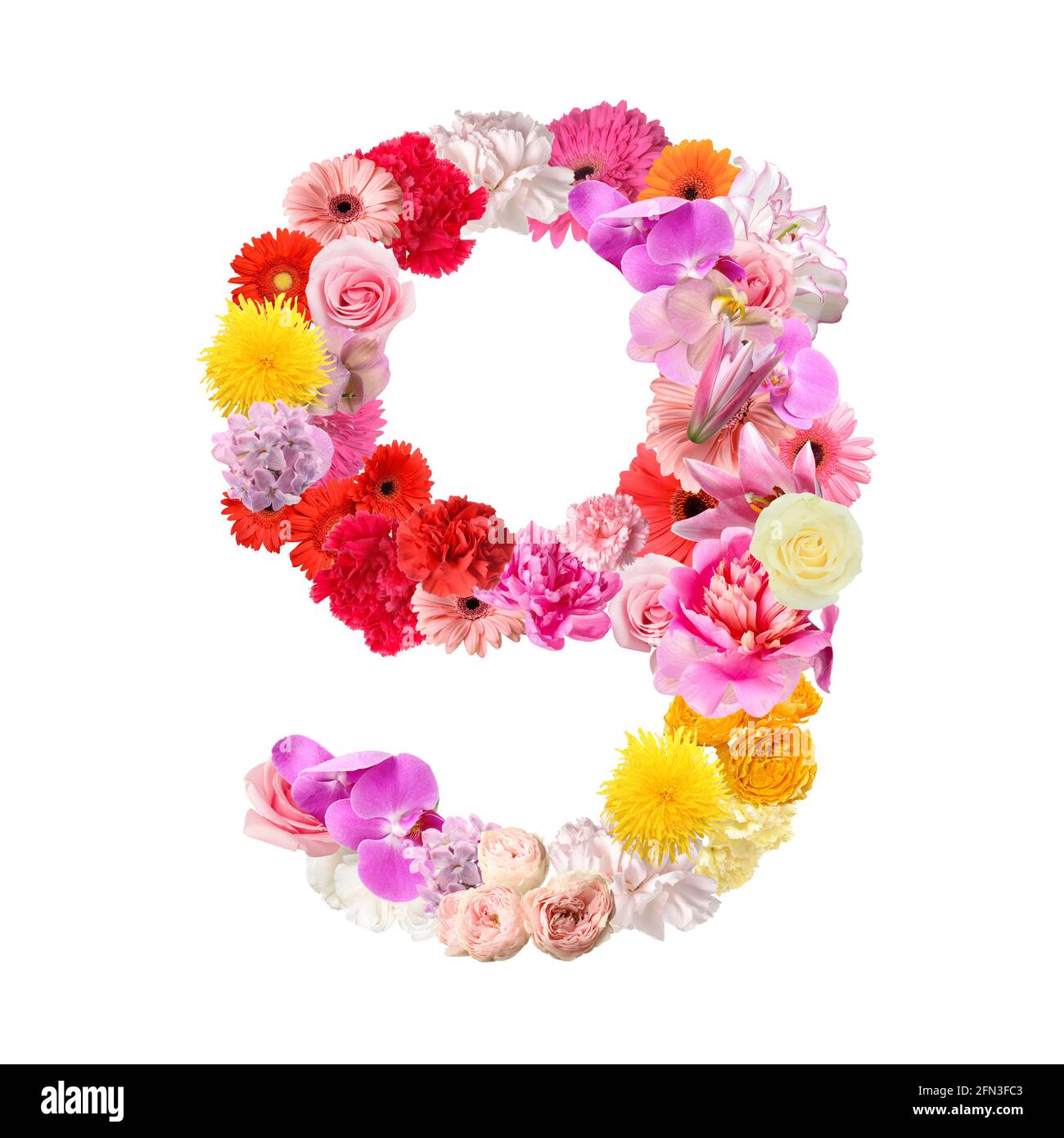Figure 9 made of beautiful flowers on white background Stock Photo - Alamy