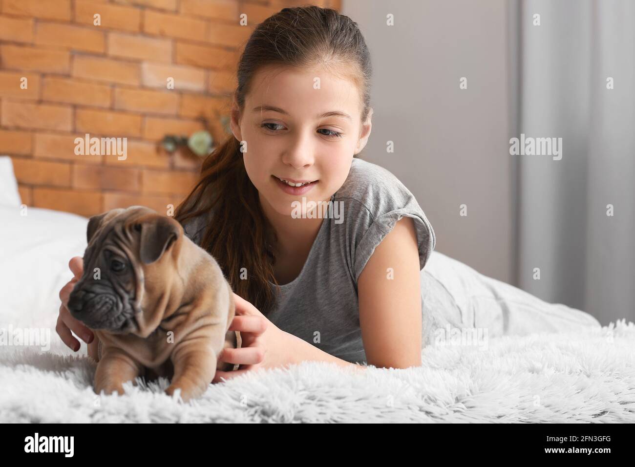 Cute girl with puppy at home Stock Photo - Alamy