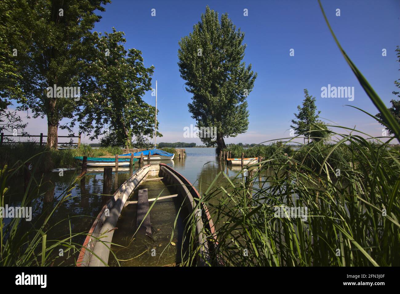 Mooring in an inlet of a river with docked boats Stock Photo - Alamy