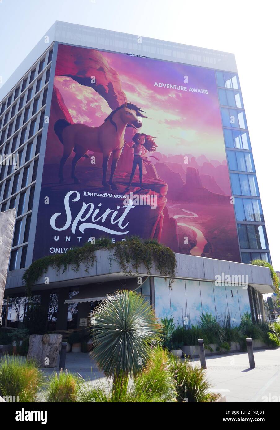 Spirit Untamed High Resolution Stock Photography and Images - Alamy