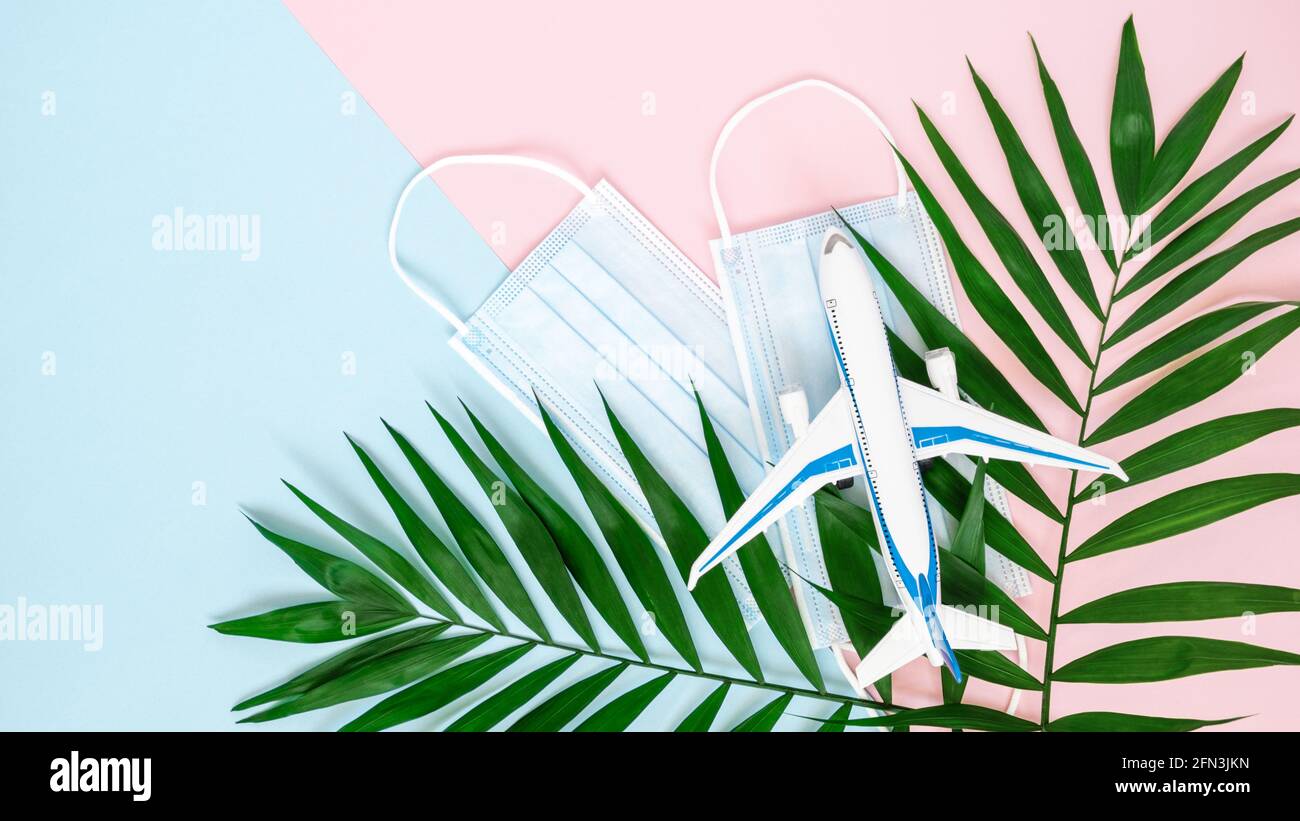 Airplane, medical masks and palm leaves on combined pink and blue ...
