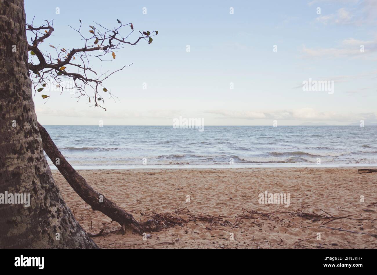 Beach view at muted sunset, Palm Cove, Queensland, Australia Stock ...