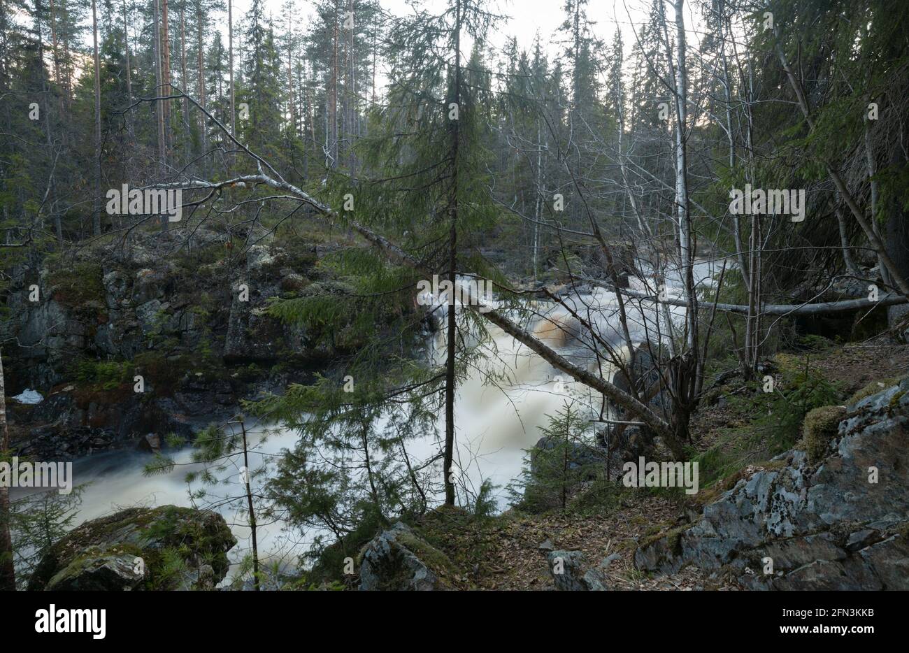 Photo of a wild river hi-res stock photography and images - Alamy