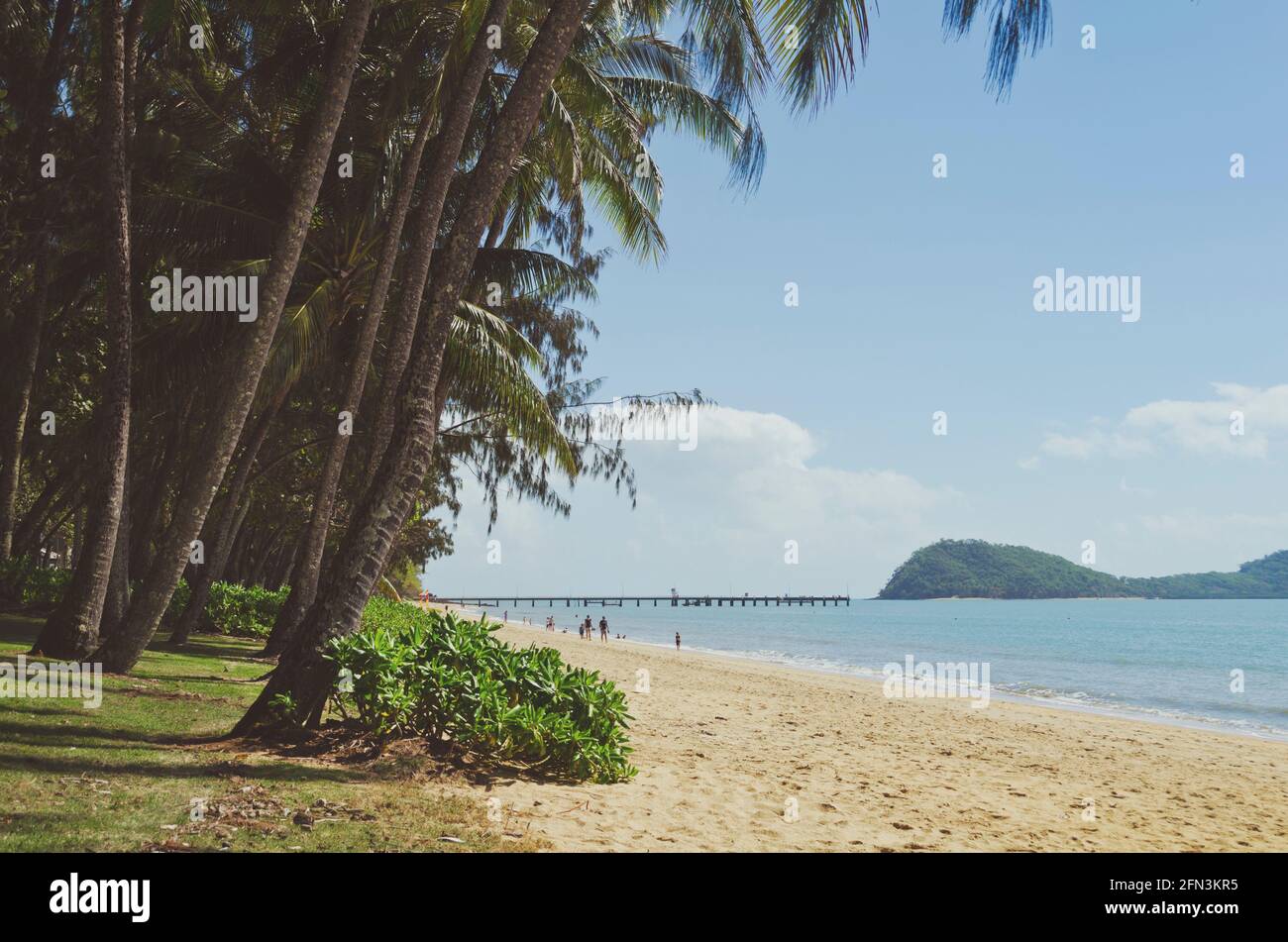 Australian palm tree and beach hi-res stock photography and images - Alamy