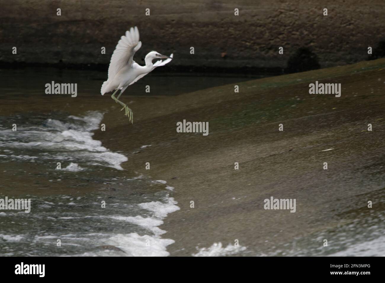 Nature daytime hi-res stock photography and images - Alamy