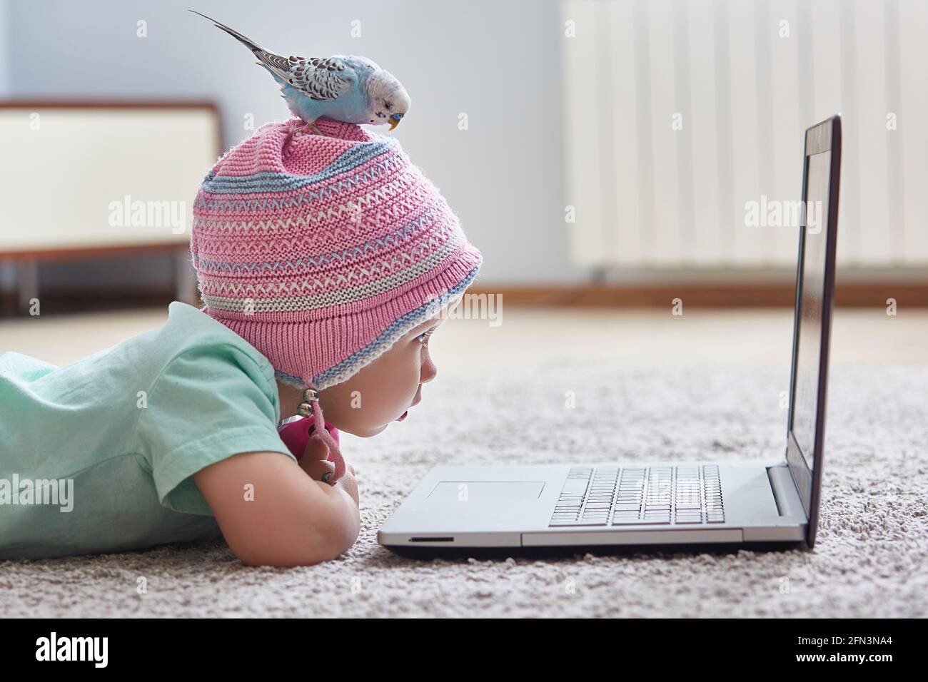 Funny Quarantine Moments. A parrot sits on the head of a child in a hat ...