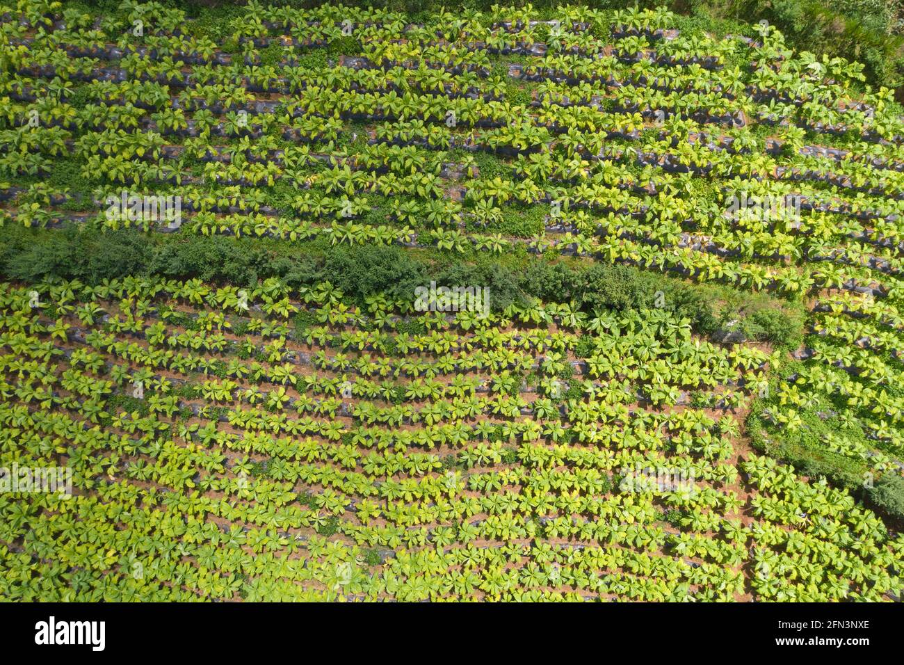 Rural china farming aerial hi-res stock photography and images - Alamy
