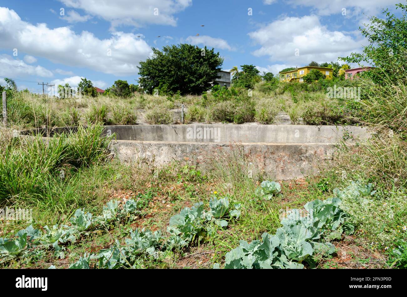 Old concrete water tank hi-res stock photography and images - Alamy